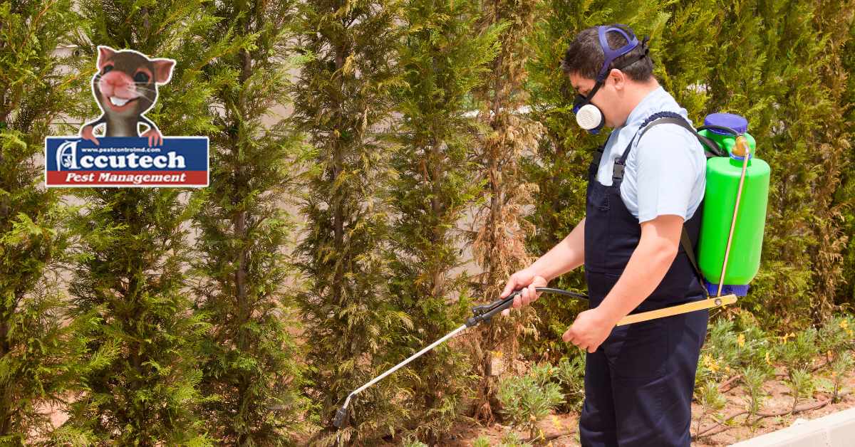 Fall Pest Control: Why Skipping It Could Cost You This Season